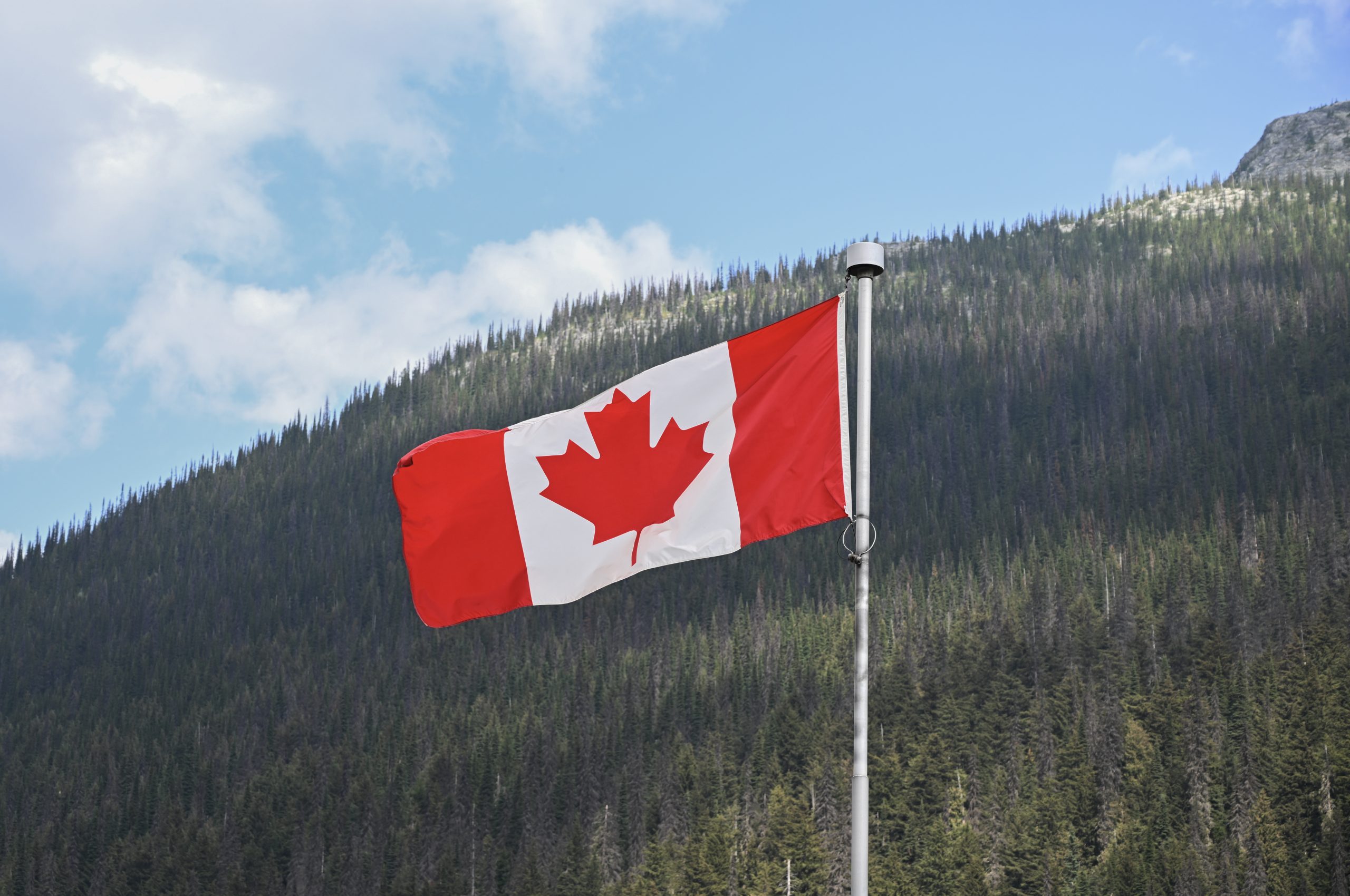 Special Report: The Canadian Dream - OMNI